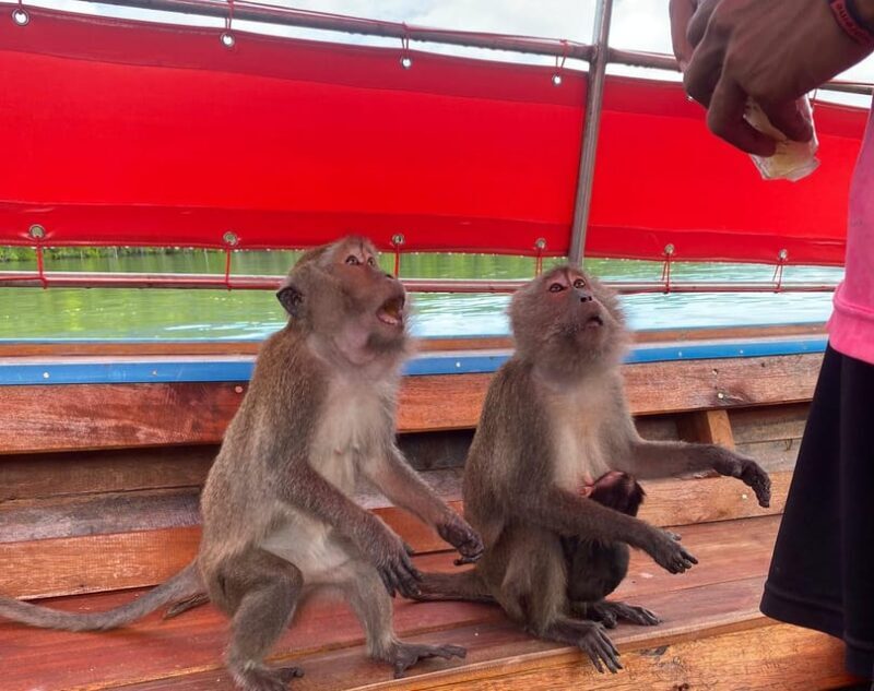 Ko Lanta: Mangrove Forest and Old Town Private Tour - FAQ
