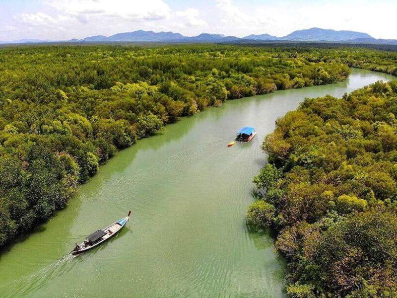 Ko Lanta: Mangrove Forest Boat Tour with Lunch or Dinner - Key Points