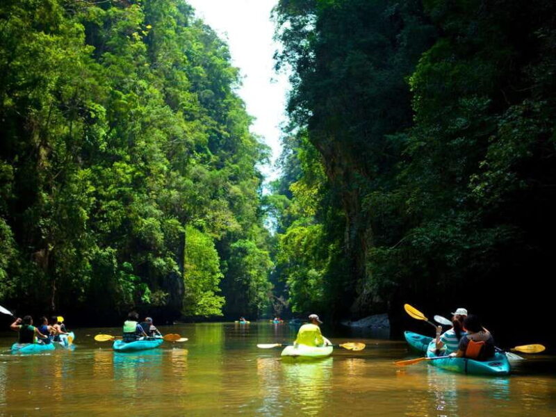 Ko Lanta: Mangrove Forest Kayak & Wildlife Adventure - Key Points