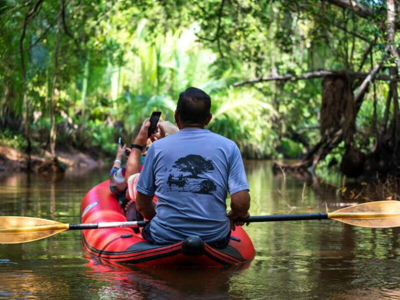 Ko Lanta: Mangrove Forest Kayak & Wildlife Adventure - The Wildlife and Scenery You’ll See