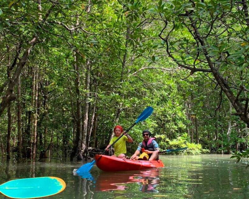 Ko Lanta: Mangrove Forest Kayak & Wildlife Adventure - Authentic Experiences and Authentic Feedback