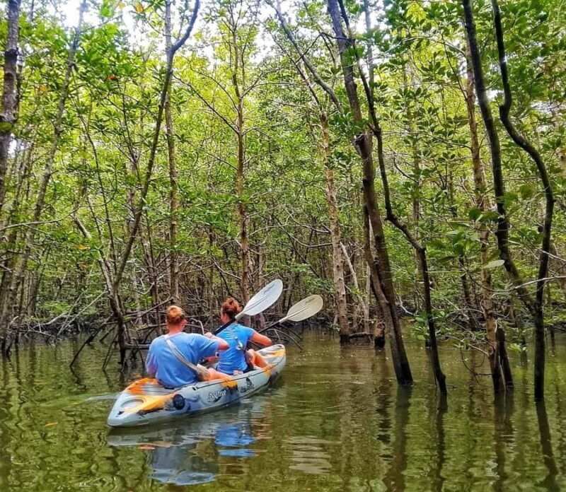 Ko lanta: Mangrove Kayaking+ Skull Island+ Sea Cave Kayaking - Exploring Talabeng Sea Cave