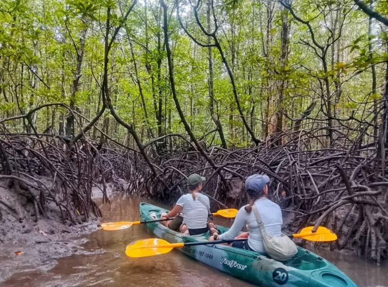 Ko lanta: Mangrove Kayaking+ Skull Island+ Sea Cave Kayaking - What’s Included and How It Feels