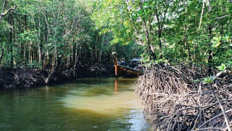 Ko lanta: Mangrove Kayaking+ Skull Island+ Sea Cave Kayaking - Practical Tips for Travelers