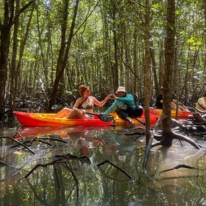 Ko Lanta: Mangrove Kayaking Tour with Lunch & Wildlife - Authentic Experiences and Practical Tips