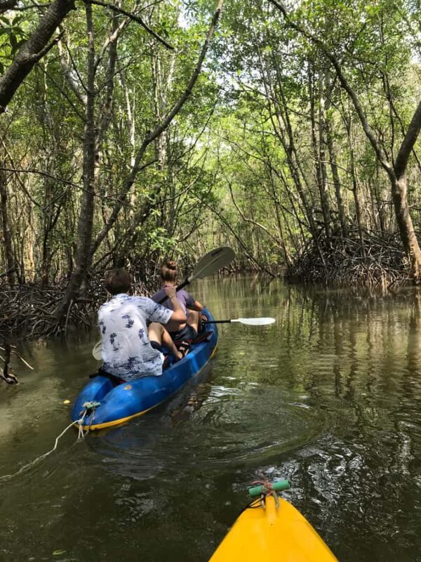 Ko Lanta: Mangrove Kayaking Tour with Lunch & Wildlife - FAQ
