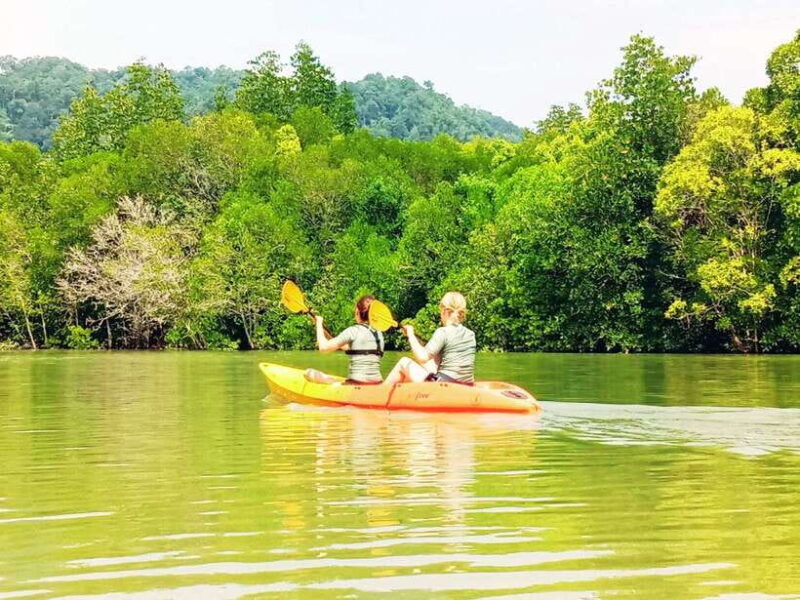 Ko Lanta: Mangrove Kayaking with Lunch and Hotel Transfer - Who Would Enjoy This Tour?
