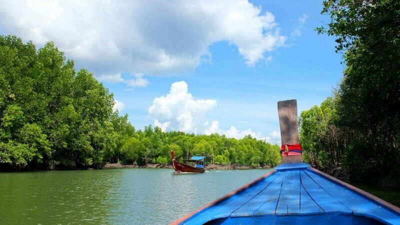 Ko Lanta: Old Town and Mangrove Forest Sightseeing Tour - Who Will Love This Tour?