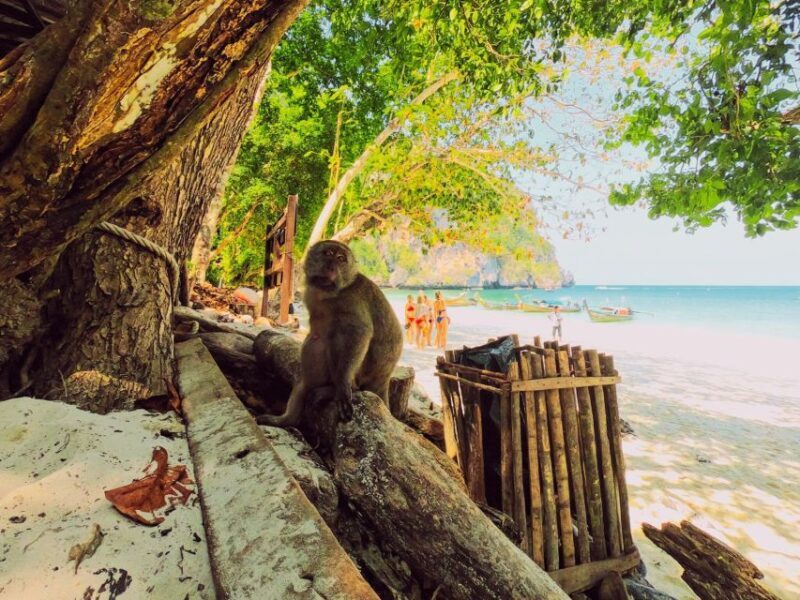 Ko Lanta: Phi Phi Day Trip by Speed Boat - Phi Phi Don: Local Charm and Shopping