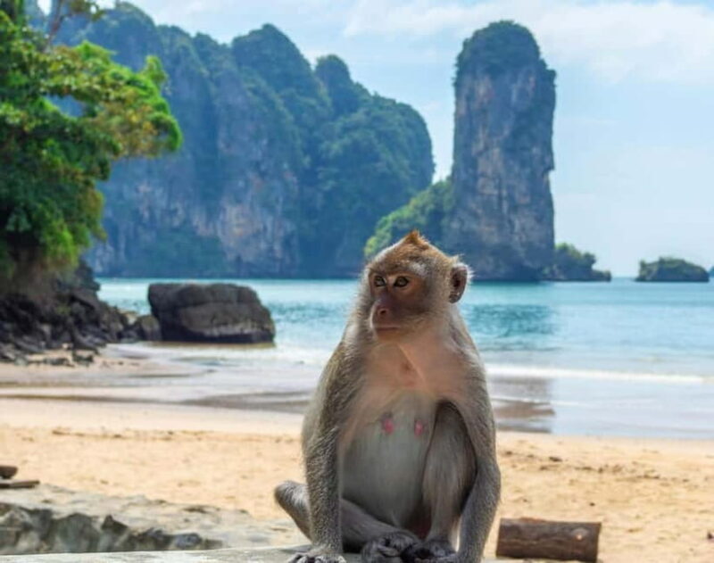 Ko Lanta: Private Exploration Mangroves, Old Town & Beaches - FAQs