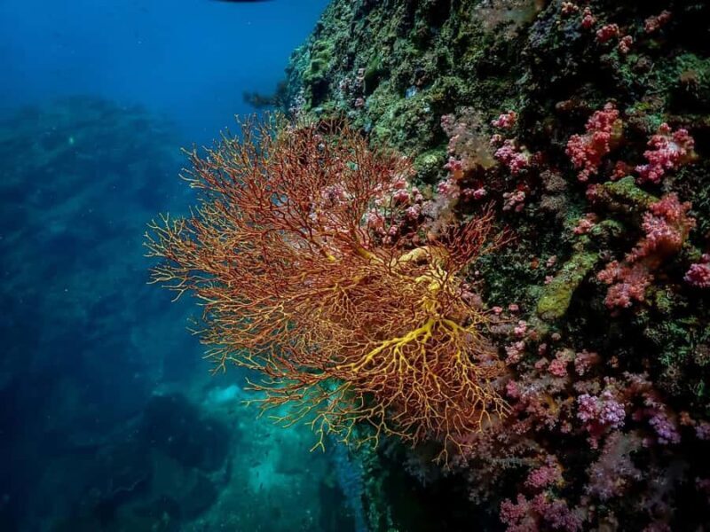 Ko Lanta: Private Long-tail Boat Fishing & Snorkeling Tour - Key Points