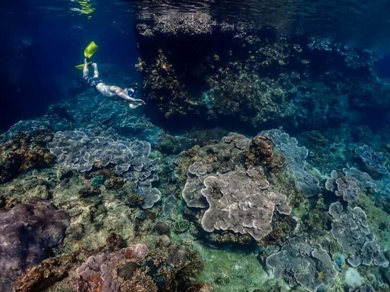 Ko Lanta: Private Long-tail Boat Fishing & Snorkeling Tour - An In-Depth Look at the Ko Lanta Private Long-tail Boat Tour