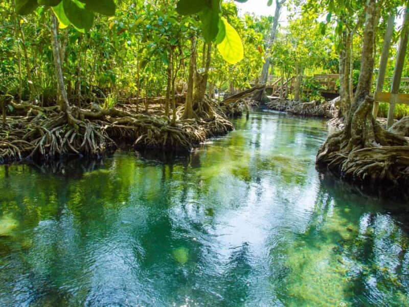 Ko Lanta: Private Mangrove Kayaking & Cave Exploration Tour - Who Is This Tour Best For?