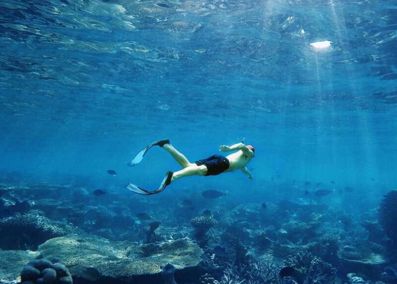 Ko Lanta: Snorkeling Adventure Tour to Koh Rok and Koh Haa - Key Points