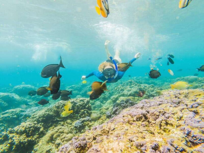 Ko Lanta: Snorkeling Adventure Tour to Koh Rok and Koh Haa - Who Will Love This Tour?