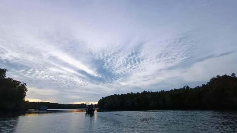 Ko lanta: Sunrise kayaking Through Mangrove Waterways - An In-Depth Look at the Experience