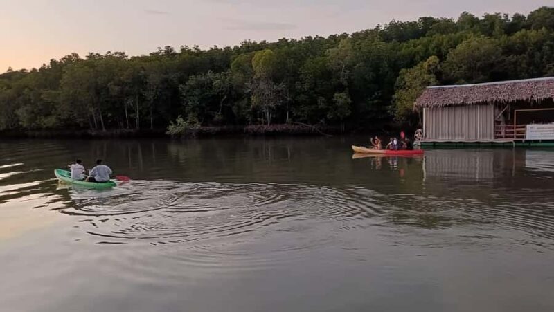 Ko Lanta: Sunset + Bioluminescence plankton by kayaking - Practical Details: Timing, Duration, and Cost