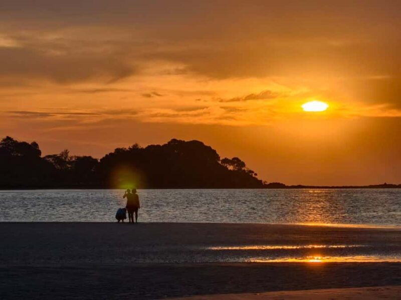 Ko Lanta: Sunset Kayaking & Bioluminescent Plankton Tour - Authentic Traveler Perspectives