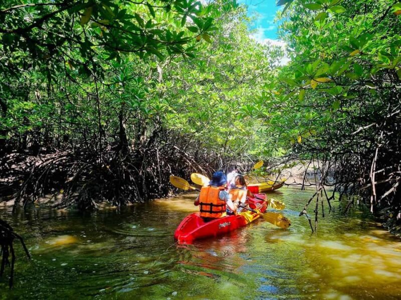 Ko Lanta: The Mangrove Kayaking Experience + Local Lunch - Discovering Ko Lanta’s Mangrove Kayaking Experience: A Practical Guide