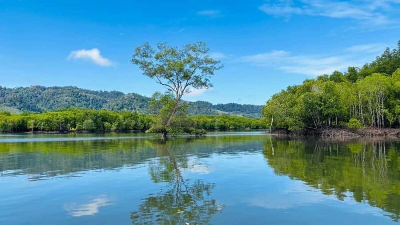 Ko Lanta: The Mangrove Kayaking Experience + Local Lunch - Authentic Feedback from Participants