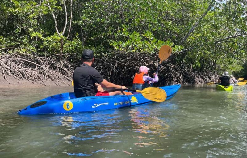 Ko Lanta: Thung Yee Peng Mangrove Kayak Rental - Key Points