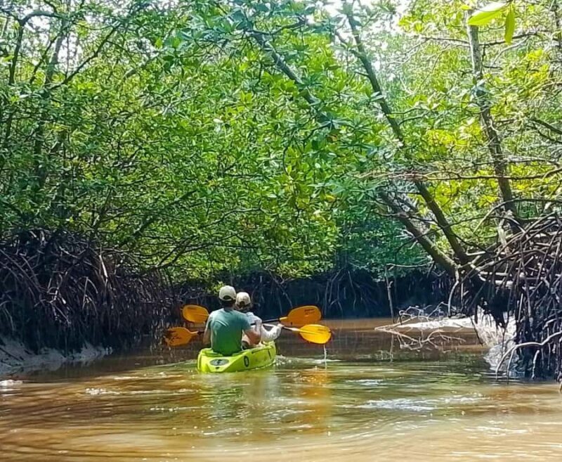 Ko Lanta: Thung Yee Peng Mangrove Kayak Rental - What’s Not Included