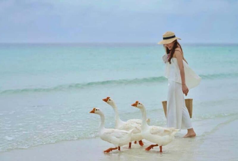 Ko Larn Island VIP Private Day Trip with Water Activities - The Return Journey