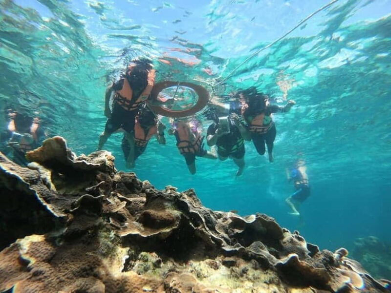 Ko Lipe: Snorkeling Tour Short Way A - Practical Tips for Your Snorkeling Day