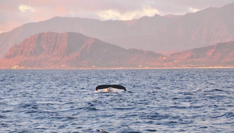 Ko Olina: Captain's Sunset + Tasting - Is This Tour Worth the Price?