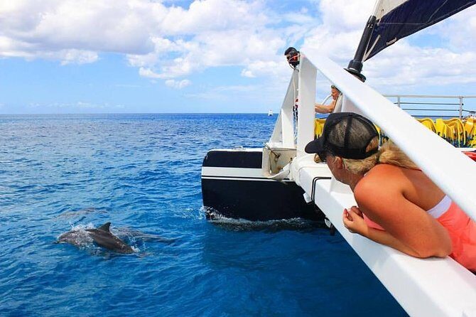 Ko Olina Catamaran Sail and Snorkel - Key Points