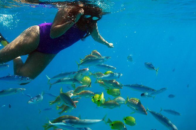 Ko Olina Catamaran Sail and Snorkel - The Sum Up