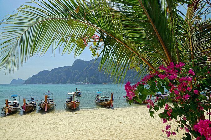 Ko Phi Phi Don Speedboat Tour Experience - Concluding Thoughts