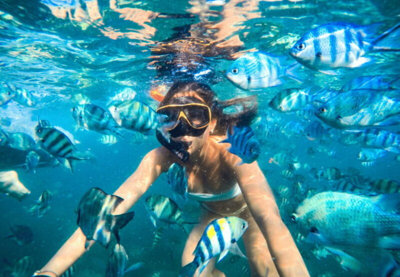 Ko Samet: 5 or 6 Islands Snorkeling Tour with Lunch Option - An Honest Look at the Snorkeling Tour Near Ko Samet