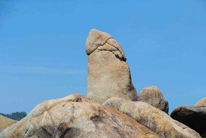 Ko Samui 4WD Wild Jungle Safari Tour with Lunch - The Sum Up