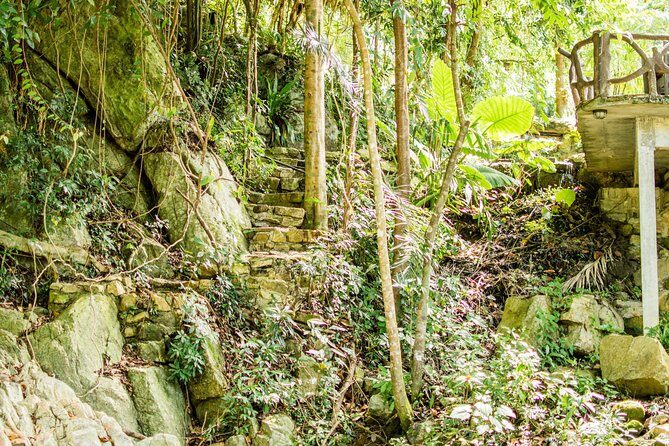 Ko Samui Full-Day Cultural Tour with Hotel Pickup and Drop Off - The Itinerary: A Closer Look