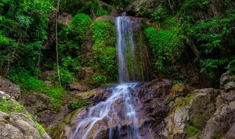 Ko Samui: Jungle Zipline & Waterfall Adventure with Drink - Key Points