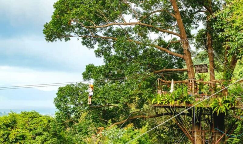 Ko Samui: Jungle Zipline & Waterfall Adventure with Drink - Practical Details & Considerations