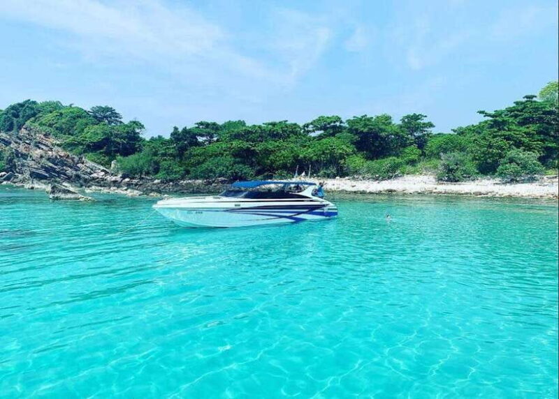 Ko Samui: Pig Island Snorkeling and Koh Tan Speedboat Tour - Key Points