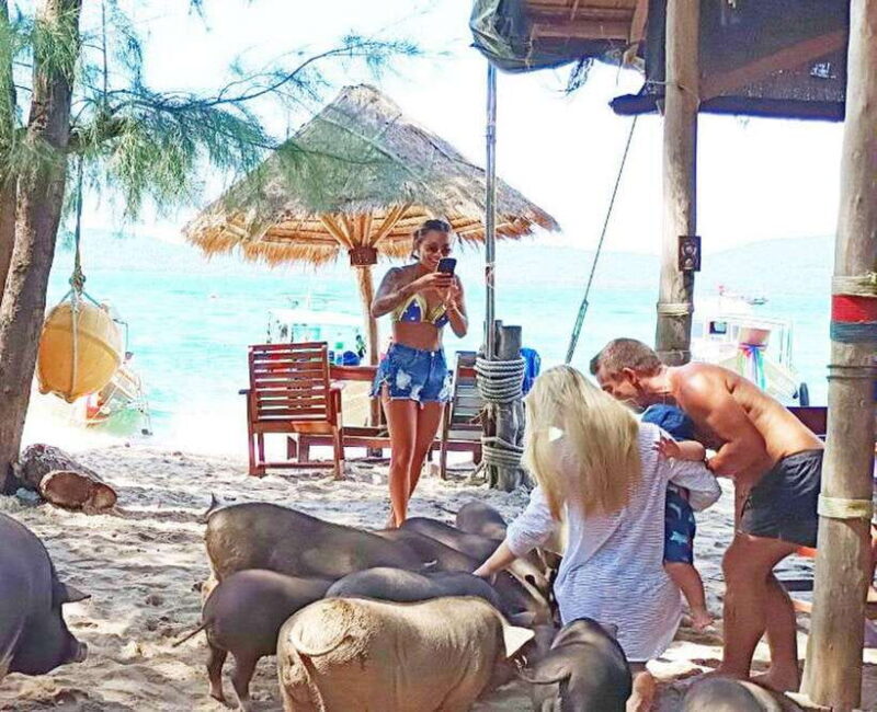 Ko Samui: Pig Island Snorkeling and Koh Tan Speedboat Tour - Pricing and Value for Money