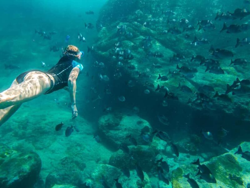 Ko Samui: Unique Ko Tao & Ko Nang Yuan Snorkeling Day Trip - Key Points