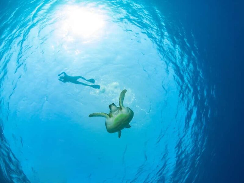 Ko Samui: Unique Ko Tao & Ko Nang Yuan Snorkeling Day Trip - FAQs