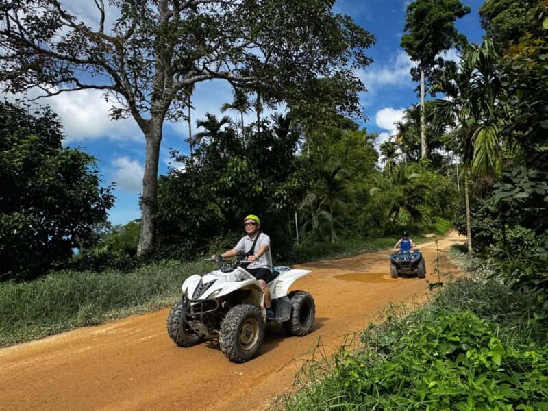 Ko Samui: X Quad Beginner Waterfall ATV Tour (1 Driver) - Practical Tips for Travelers