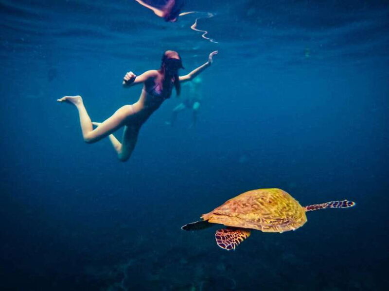 Ko Tao: Late Riser Snorkeling Tour with Lunch and Photos - Frequently Asked Questions