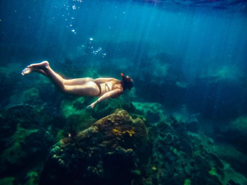 Ko Tao: Late Riser Snorkeling Tour with Lunch and Photos - Final Thoughts