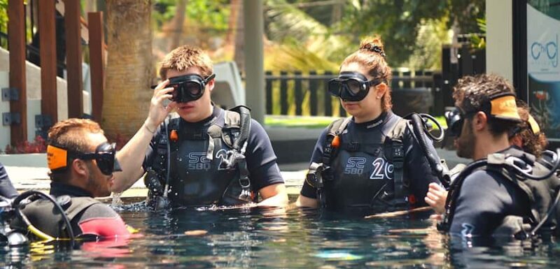 Ko Tao: Open Water Scuba Diving 4-Day Course - An In-Depth Look at the Experience