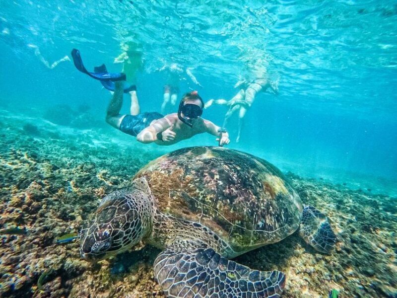 Ko Tao: Tao-Nangyuan Snorkeling Day Trip with Meals & Sunset - Final Thoughts