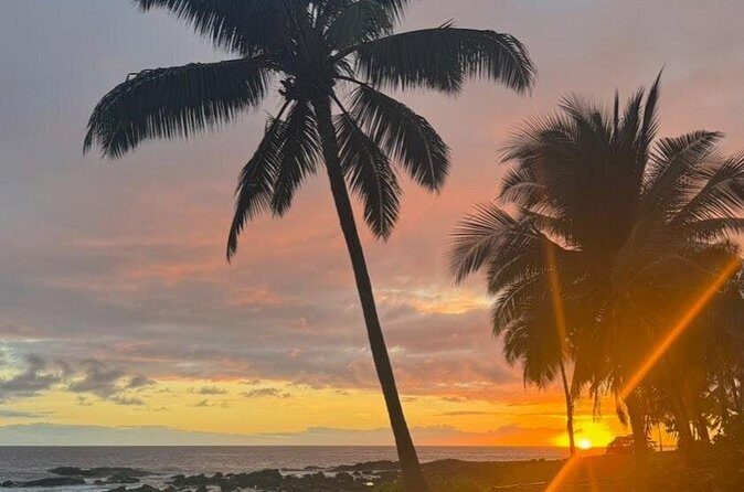 KOA to Waikoloa Resorts Luxury Private Round Trip Transfer - What You Can Expect During Your Transfer