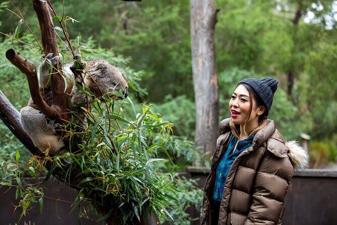 Koala Experience at Healesville Sanctuary - excl. entry - Who Will Love This Experience?