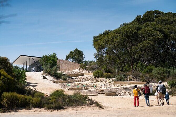 Koala Walking Tour in Kangaroo Island - The Experience Begins: What to Expect