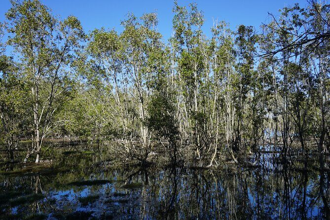 Koalas, Glow Worms & Kangaroos - Nature & Rainforest Walk - Final Thoughts